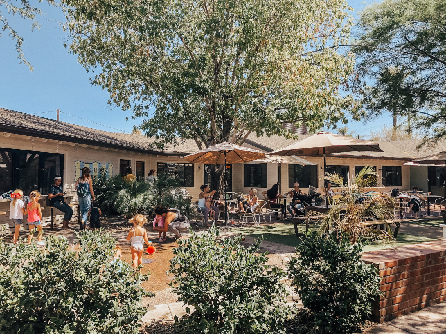 6 Best Places to Get Coffee in Phoenix, AZ